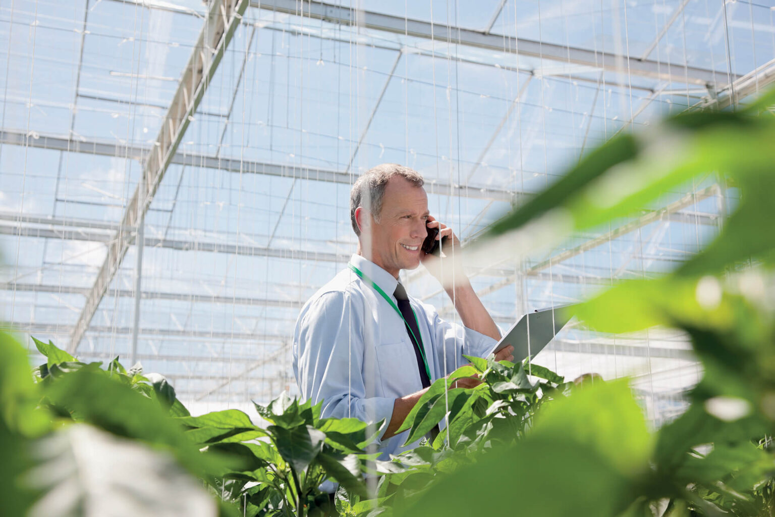 Contact: The Netherlands